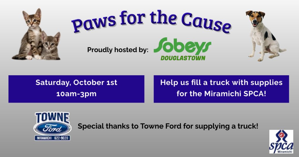 Paws for the Cause - SPCA Miramichi